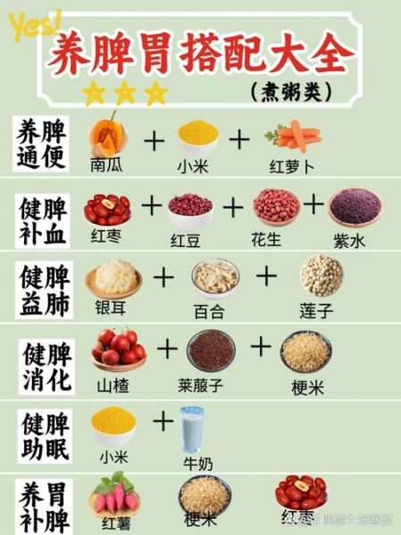 健脾的食物有哪些_脾虚吃什么食物好得快-第1张图片-山城妙识 健脾的食物有哪些_脾虚吃什么食物好得快-第1张图片-山城妙识