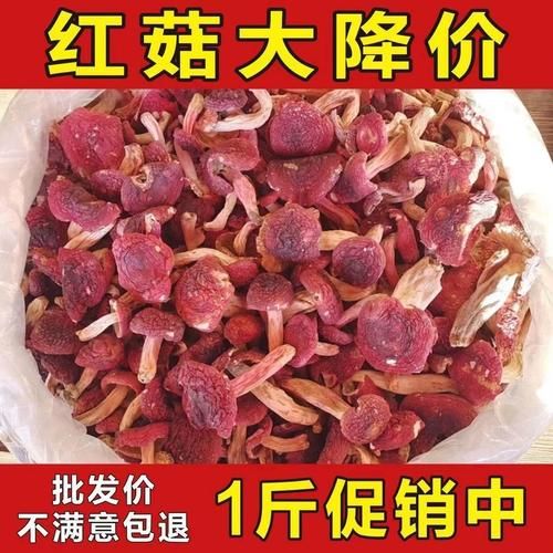 红蘑菇多少钱一斤_野生红蘑菇价格行情-第3张图片-山城妙识