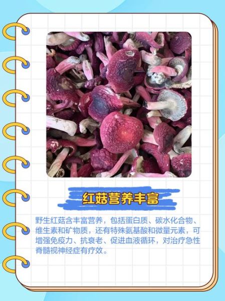 红蘑菇多少钱一斤_野生红蘑菇价格行情-第2张图片-山城妙识