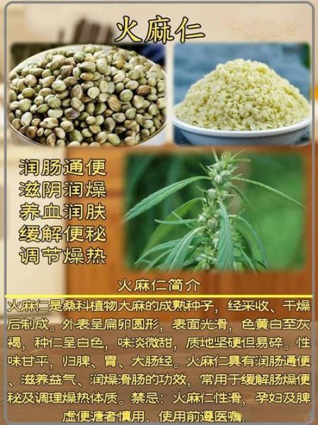 火麻仁怎么吃_火麻仁的正确吃法-第3张图片-山城妙识 火麻仁怎么吃_火麻仁的正确吃法-第3张图片-山城妙识