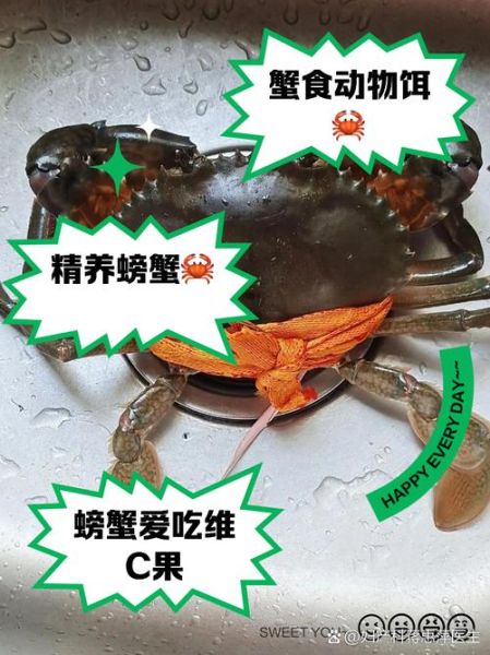 螃蟹吃什么食物好养活_家养螃蟹饲料推荐-第1张图片-山城妙识 螃蟹吃什么食物好养活_家养螃蟹饲料推荐-第1张图片-山城妙识