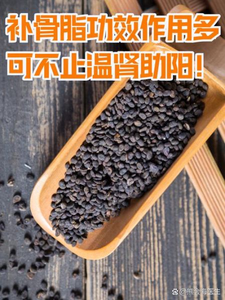 盐补骨脂的功效与作用_盐补骨脂补肾壮阳吗-第2张图片-山城妙识 盐补骨脂的功效与作用_盐补骨脂补肾壮阳吗-第2张图片-山城妙识