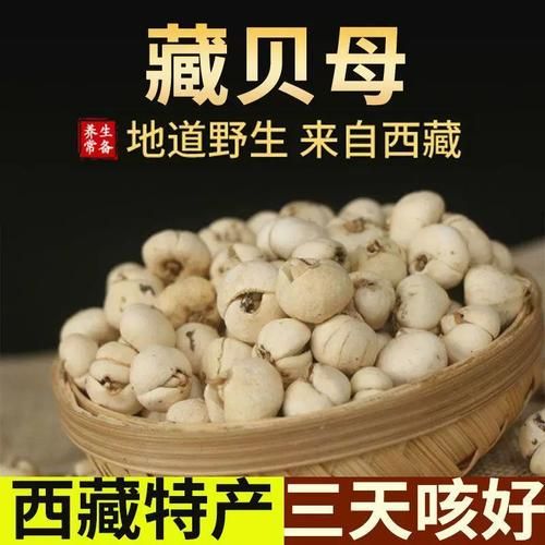 藏贝母和川贝母的区别_哪个止咳更好-第3张图片-山城妙识