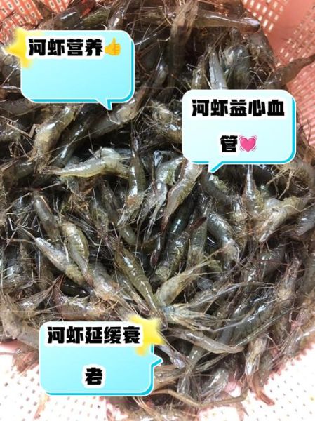 野生河虾吃什么食物_野生河虾主要食物来源-第2张图片-山城妙识 野生河虾吃什么食物_野生河虾主要食物来源-第2张图片-山城妙识