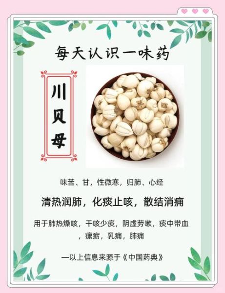 藏贝母和川贝母的区别_哪个止咳更好-第1张图片-山城妙识