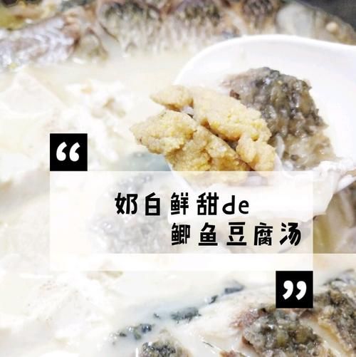 鲫鱼豆腐汤怎么做才奶白_鲫鱼豆腐汤去腥技巧-第2张图片-山城妙识 鲫鱼豆腐汤怎么做才奶白_鲫鱼豆腐汤去腥技巧-第2张图片-山城妙识