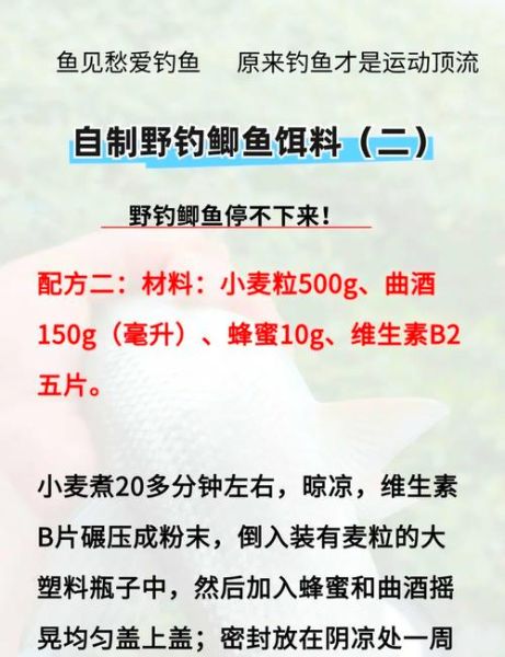 诱鲫鱼最快的窝料配方_如何自制高效鲫鱼窝料-第2张图片-山城妙识 诱鲫鱼最快的窝料配方_如何自制高效鲫鱼窝料-第2张图片-山城妙识