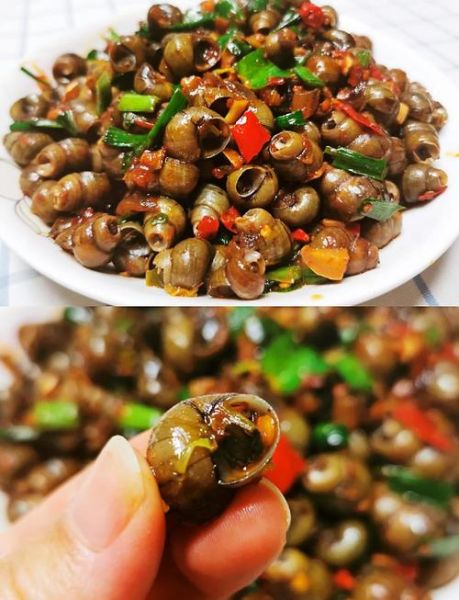 香辣海螺丝怎么做好吃_香辣海螺丝的做法-第3张图片-山城妙识 香辣海螺丝怎么做好吃_香辣海螺丝的做法-第3张图片-山城妙识