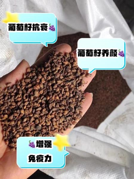 央视曝光葡萄籽骗局_葡萄籽提取物真的有用吗-第2张图片-山城妙识 央视曝光葡萄籽骗局_葡萄籽提取物真的有用吗-第2张图片-山城妙识