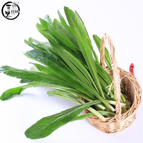 刺芫荽怎么吃_刺芫荽的功效与作用-第2张图片-山城妙识 刺芫荽怎么吃_刺芫荽的功效与作用-第2张图片-山城妙识