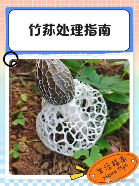 竹笙怎么处理_竹笙泡发多久才软-第2张图片-山城妙识 竹笙怎么处理_竹笙泡发多久才软-第2张图片-山城妙识