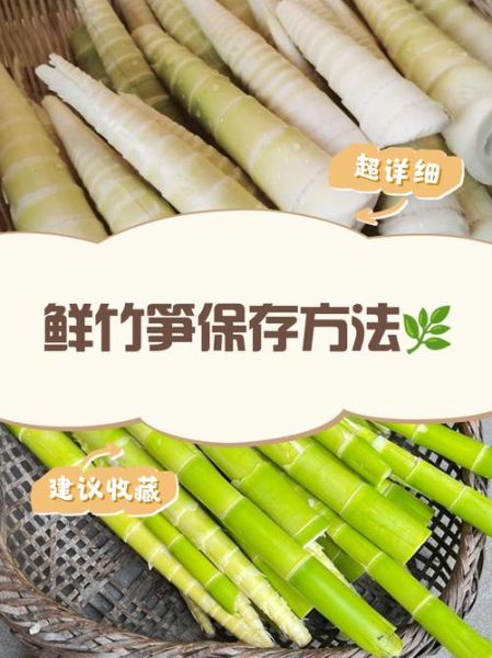 鲜笋怎么保存_鲜笋可以放冰箱吗-第2张图片-山城妙识 鲜笋怎么保存_鲜笋可以放冰箱吗-第2张图片-山城妙识