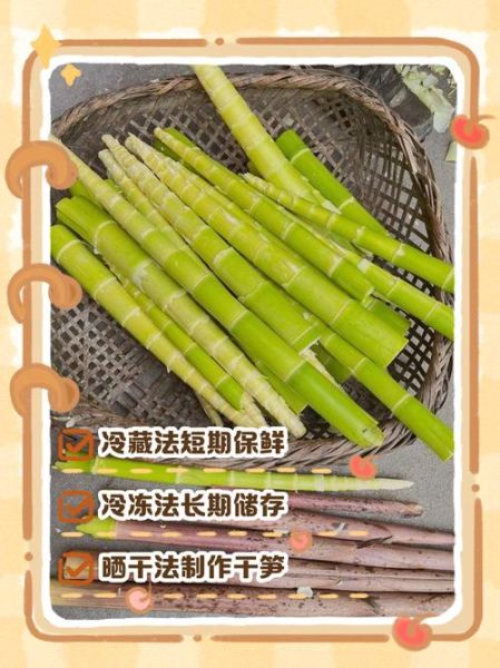 鲜笋怎么保存_鲜笋可以放冰箱吗-第1张图片-山城妙识 鲜笋怎么保存_鲜笋可以放冰箱吗-第1张图片-山城妙识