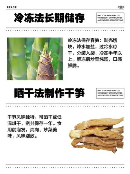 鲜笋怎么保存_鲜笋可以放冰箱吗-第3张图片-山城妙识 鲜笋怎么保存_鲜笋可以放冰箱吗-第3张图片-山城妙识