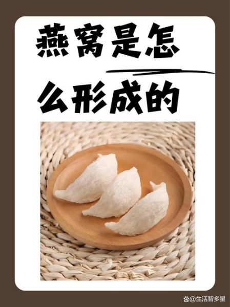 燕窝是什么_燕窝是怎么形成的-第2张图片-山城妙识 燕窝是什么_燕窝是怎么形成的-第2张图片-山城妙识
