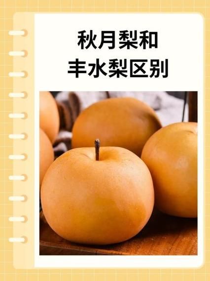 秋月梨和丰水梨的区别_哪个更好吃-第1张图片-山城妙识 秋月梨和丰水梨的区别_哪个更好吃-第1张图片-山城妙识