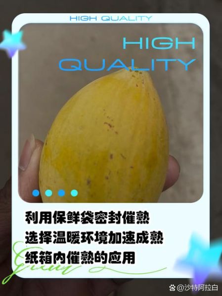 鸡蛋果怎么催熟_鸡蛋果催熟最快方法-第3张图片-山城妙识 鸡蛋果怎么催熟_鸡蛋果催熟最快方法-第3张图片-山城妙识