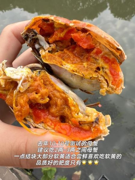 洪泽湖大闸蟹几月上市_什么时候吃最肥-第1张图片-山城妙识 洪泽湖大闸蟹几月上市_什么时候吃最肥-第1张图片-山城妙识