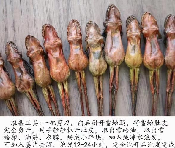 雪蛤真假怎么分辨_泡开后是什么样子-第3张图片-山城妙识 雪蛤真假怎么分辨_泡开后是什么样子-第3张图片-山城妙识