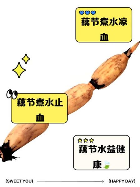 藕节的功效与作用_藕节怎么煮水止血-第2张图片-山城妙识 藕节的功效与作用_藕节怎么煮水止血-第2张图片-山城妙识