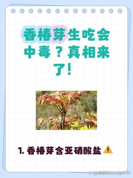 香椿有毒吗_香椿芽怎么吃才安全-第1张图片-山城妙识 香椿有毒吗_香椿芽怎么吃才安全-第1张图片-山城妙识