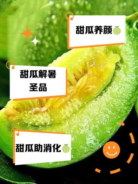 香瓜的功效与禁忌_哪些人不能吃香瓜-第1张图片-山城妙识 香瓜的功效与禁忌_哪些人不能吃香瓜-第1张图片-山城妙识