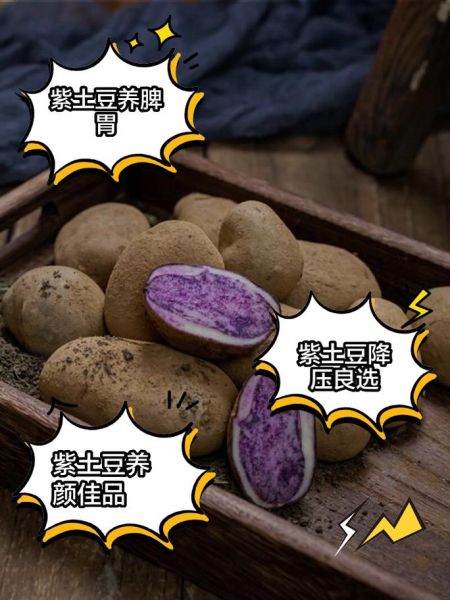 紫土豆的营养价值_紫土豆怎么做好吃-第1张图片-山城妙识 紫土豆的营养价值_紫土豆怎么做好吃-第1张图片-山城妙识