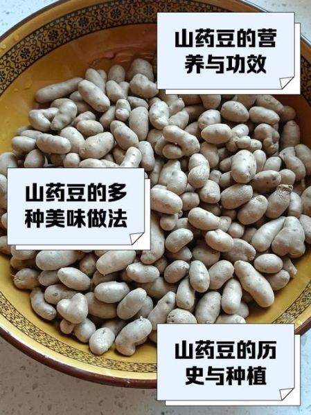 麻山药豆怎么做好吃_麻山药豆的做法大全-第1张图片-山城妙识 麻山药豆怎么做好吃_麻山药豆的做法大全-第1张图片-山城妙识