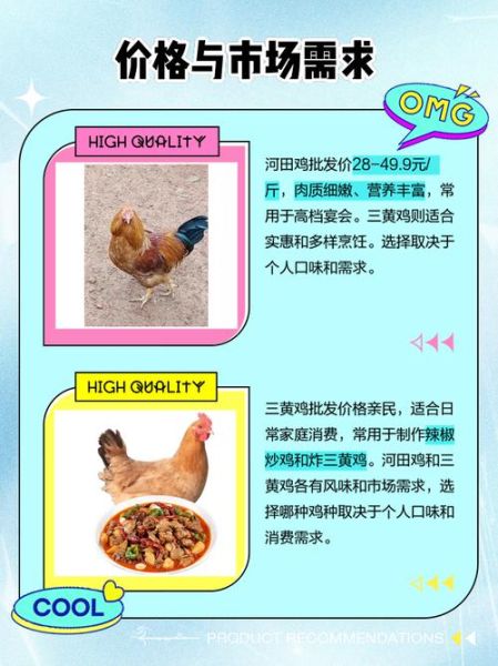 河田鸡的营养价值_河田鸡的功效与作用-第1张图片-山城妙识 河田鸡的营养价值_河田鸡的功效与作用-第1张图片-山城妙识