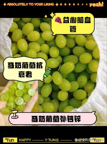 红马奶葡萄的功效与作用_红马奶葡萄多少钱一斤-第3张图片-山城妙识 红马奶葡萄的功效与作用_红马奶葡萄多少钱一斤-第3张图片-山城妙识