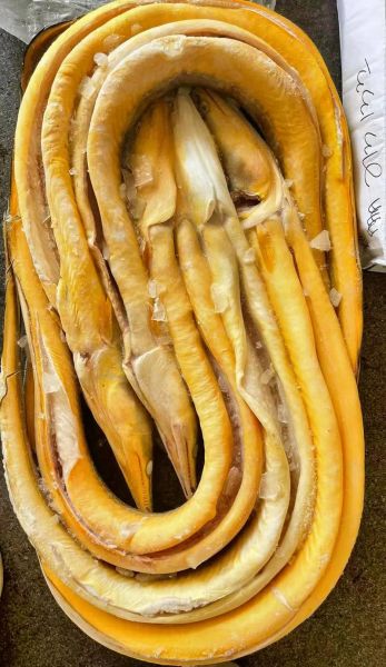 黄鳗鱼是什么鱼_黄鳗鱼有毒吗-第2张图片-山城妙识 黄鳗鱼是什么鱼_黄鳗鱼有毒吗-第2张图片-山城妙识