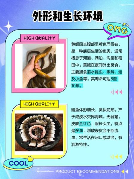 黄鳗鱼是什么鱼_黄鳗鱼有毒吗-第1张图片-山城妙识 黄鳗鱼是什么鱼_黄鳗鱼有毒吗-第1张图片-山城妙识