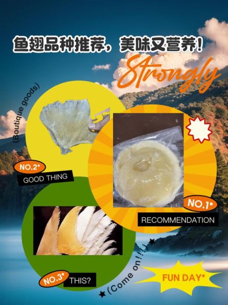 鱼翅禁忌人群_哪些人不适合吃鱼翅-第1张图片-山城妙识 鱼翅禁忌人群_哪些人不适合吃鱼翅-第1张图片-山城妙识