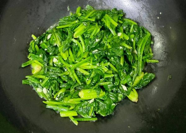 红嘴绿鹦哥是什么蔬菜_菠菜的别名叫法-第2张图片-山城妙识