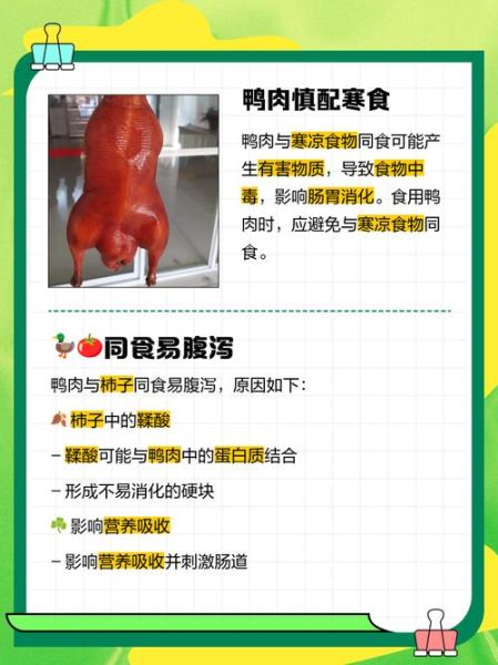 鸭肉不能和什么一起吃_鸭肉相克食物有哪些-第3张图片-山城妙识 鸭肉不能和什么一起吃_鸭肉相克食物有哪些-第3张图片-山城妙识