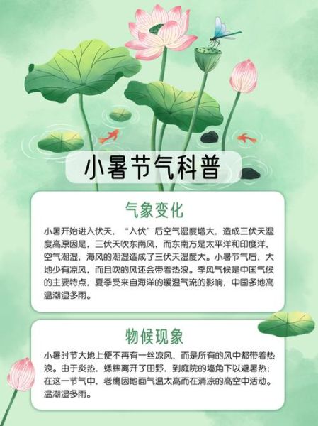 小暑节气的含义是什么_小暑节气有哪些传统习俗-第3张图片-山城妙识