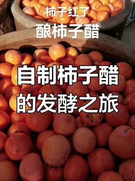 柿子醋怎么做_家庭自制柿子醋最简单的方法-第1张图片-山城妙识 柿子醋怎么做_家庭自制柿子醋最简单的方法-第1张图片-山城妙识