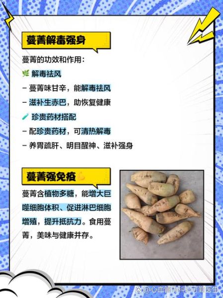 蔓菁是什么_蔓菁怎么吃-第1张图片-山城妙识 蔓菁是什么_蔓菁怎么吃-第1张图片-山城妙识