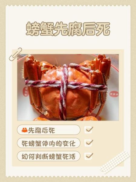 螃蟹刚死能吃吗_死蟹多久不能吃-第1张图片-山城妙识 螃蟹刚死能吃吗_死蟹多久不能吃-第1张图片-山城妙识