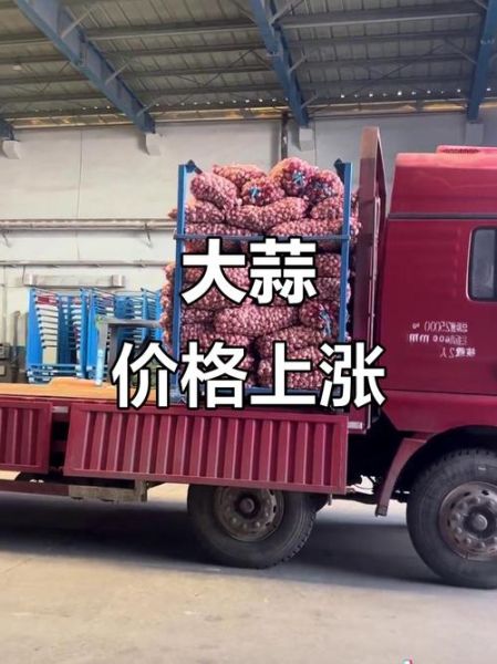 金乡大蒜今日价格_金乡大蒜行情还会涨吗-第3张图片-山城妙识 金乡大蒜今日价格_金乡大蒜行情还会涨吗-第3张图片-山城妙识