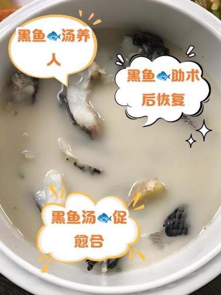 黑鱼汤怎么做_术后恢复喝黑鱼汤有什么好处-第1张图片-山城妙识 黑鱼汤怎么做_术后恢复喝黑鱼汤有什么好处-第1张图片-山城妙识