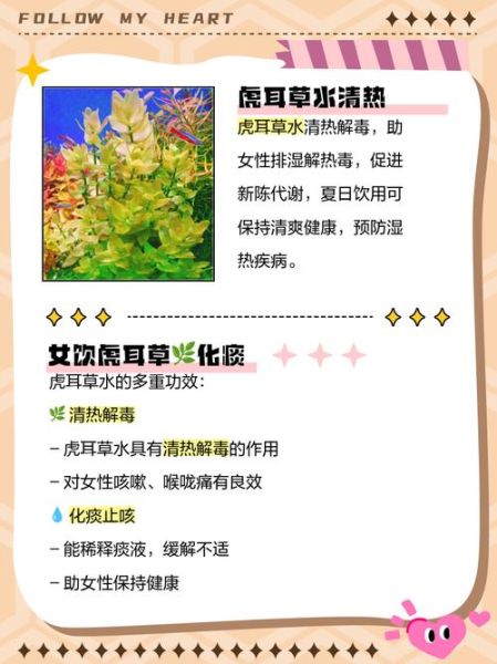虎耳草怎么养_虎耳草的功效与作用-第3张图片-山城妙识 虎耳草怎么养_虎耳草的功效与作用-第3张图片-山城妙识