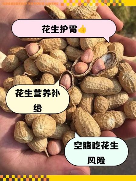 生花生米养胃吗_生花生米一天吃多少合适-第3张图片-山城妙识 生花生米养胃吗_生花生米一天吃多少合适-第3张图片-山城妙识