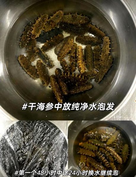 怎样水发干海参_干海参泡发多久才够大-第1张图片-山城妙识