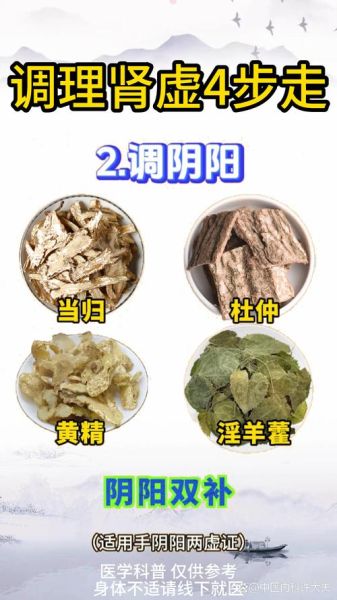 补肾的食物有哪些中药_肾虚吃什么中药调理-第3张图片-山城妙识