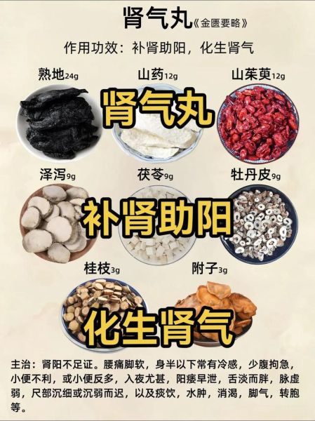 男人补肾益精吃什么好_肾虚怎么食补-第3张图片-山城妙识