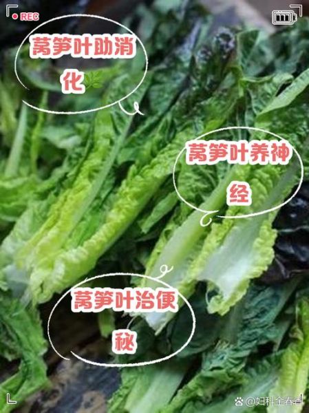 莴苣叶子的功效与作用_莴苣叶子有什么禁忌-第1张图片-山城妙识