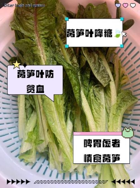 莴苣叶子的功效与作用_莴苣叶子有什么禁忌-第2张图片-山城妙识