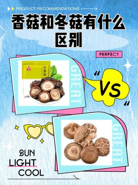 冬菇是什么意思_冬菇和香菇的区别-第1张图片-山城妙识 冬菇是什么意思_冬菇和香菇的区别-第1张图片-山城妙识