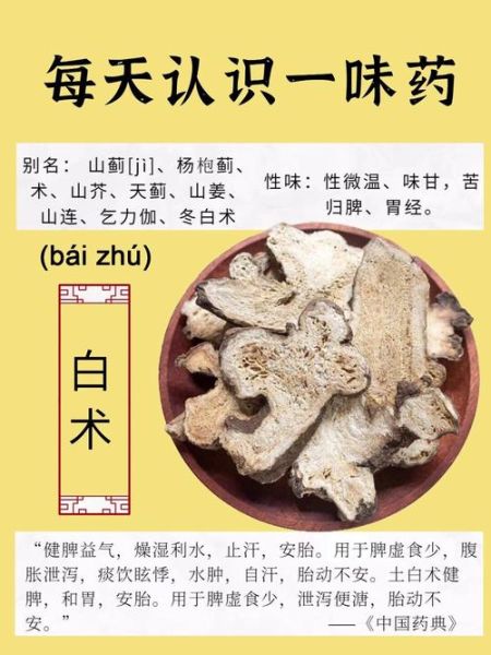 白术的功效与作用及禁忌_白术泡水喝的副作用-第1张图片-山城妙识 白术的功效与作用及禁忌_白术泡水喝的副作用-第1张图片-山城妙识